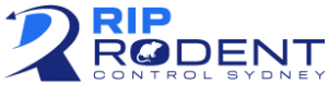 Black Rat Control Sydney | 02 4062 9406 | Low Cost Pest Control
